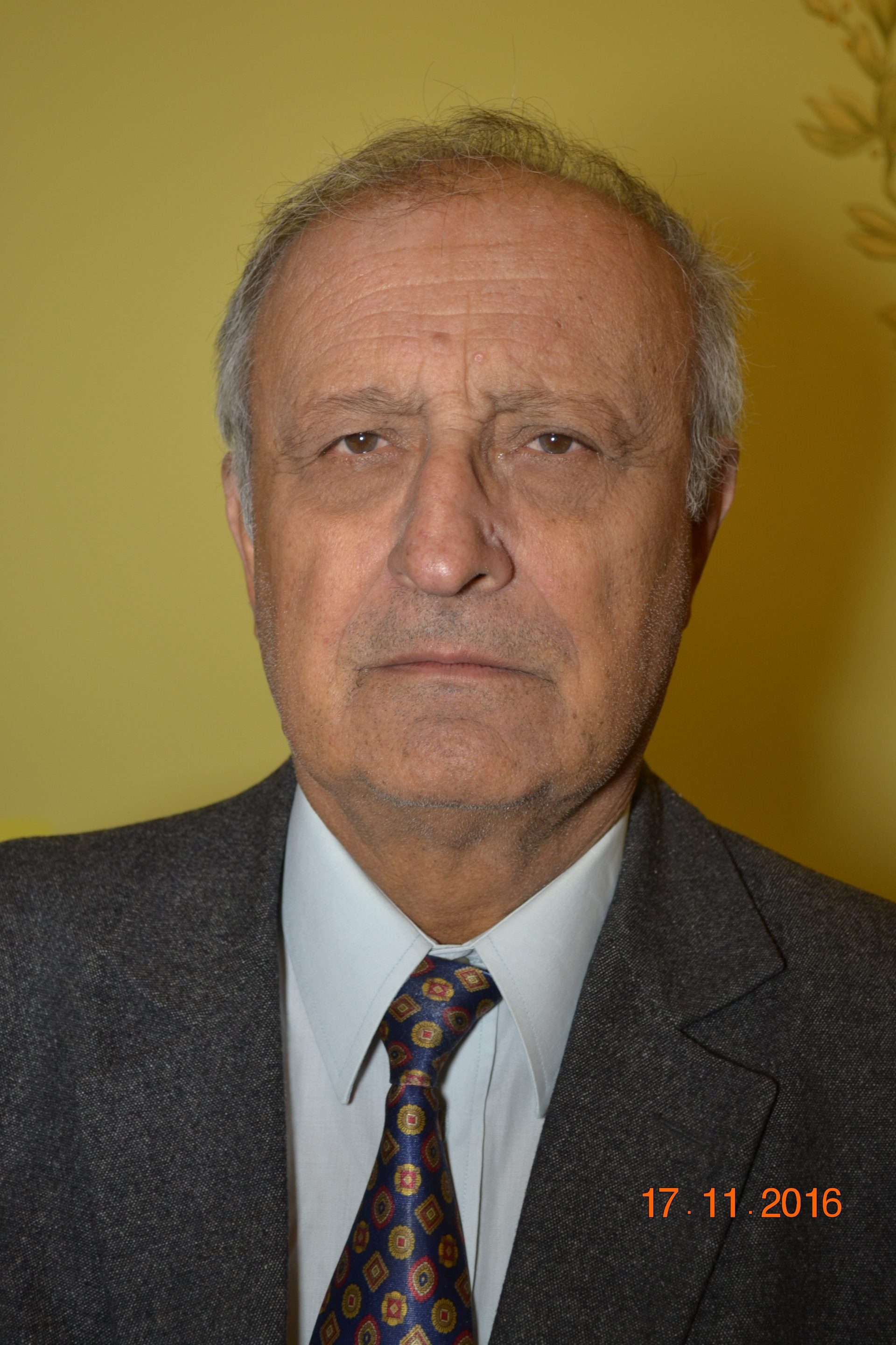 MEMBRII SECŢIEI ŞTIINŢE TEHNICE - Academia Oamenilor de Știință din România